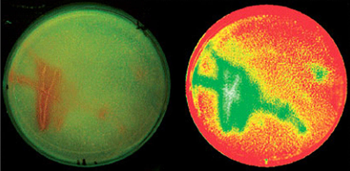 VisiSens TD｜三洋貿易株式会社 科学機器部