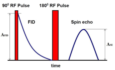 総脂肪含有量 (TFC) の測定